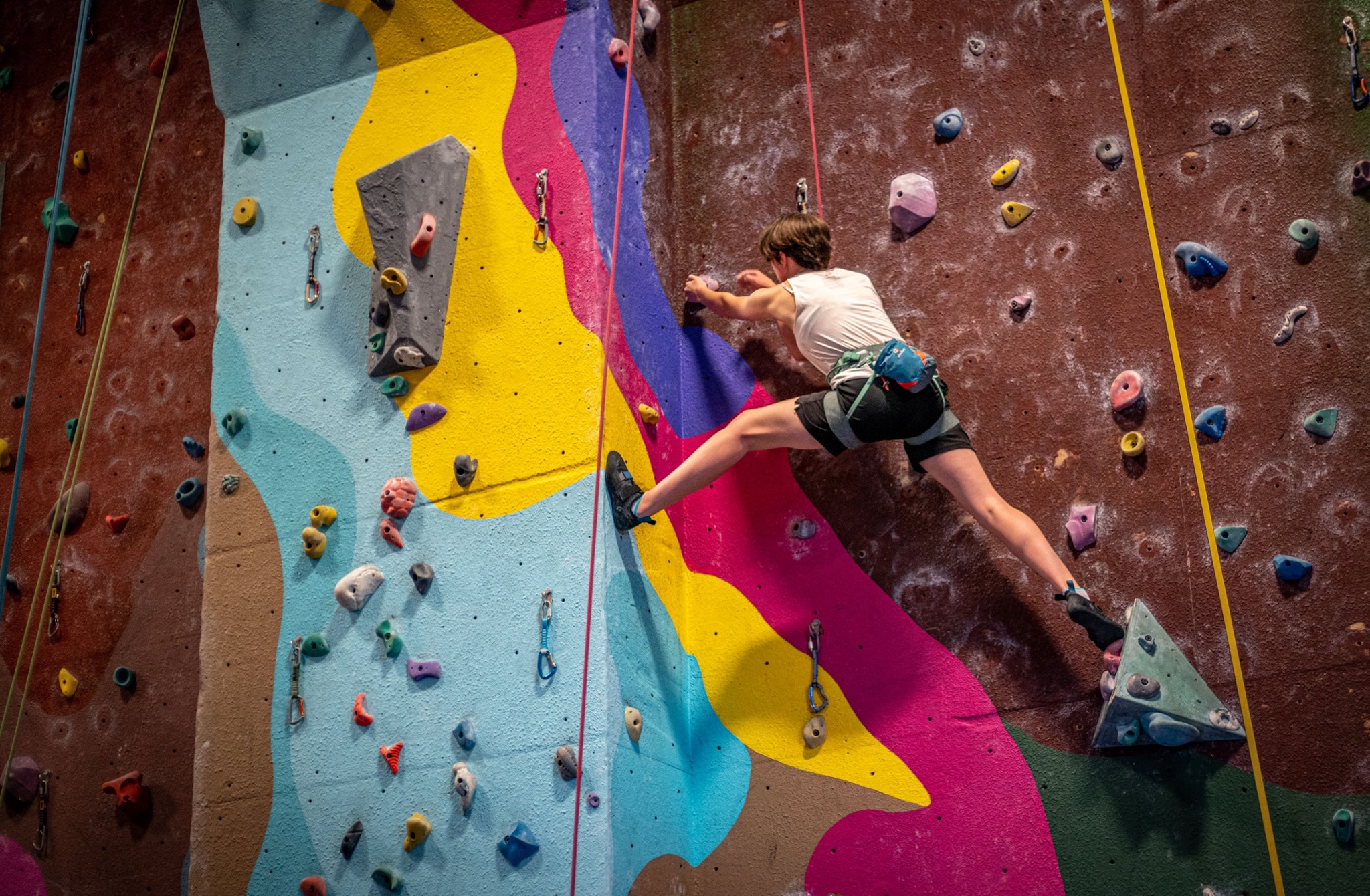 Vertical Adventures | Attractions West Auckland